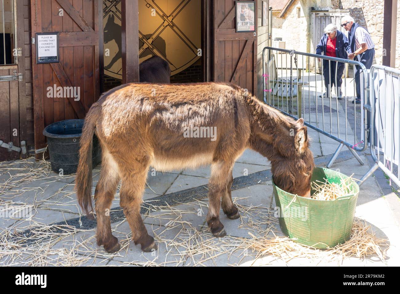 Donkey sanctuary at Carisbrooke Castle, Carisbrooke, Isle of Wight ...