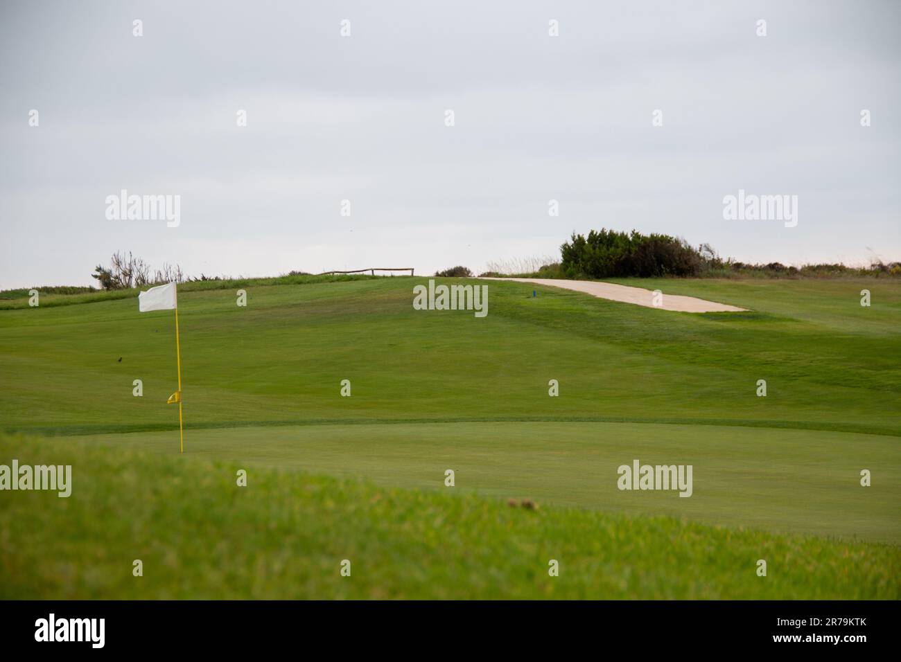 Green golf course perfectly cut, in a housing complex by the sea Stock ...