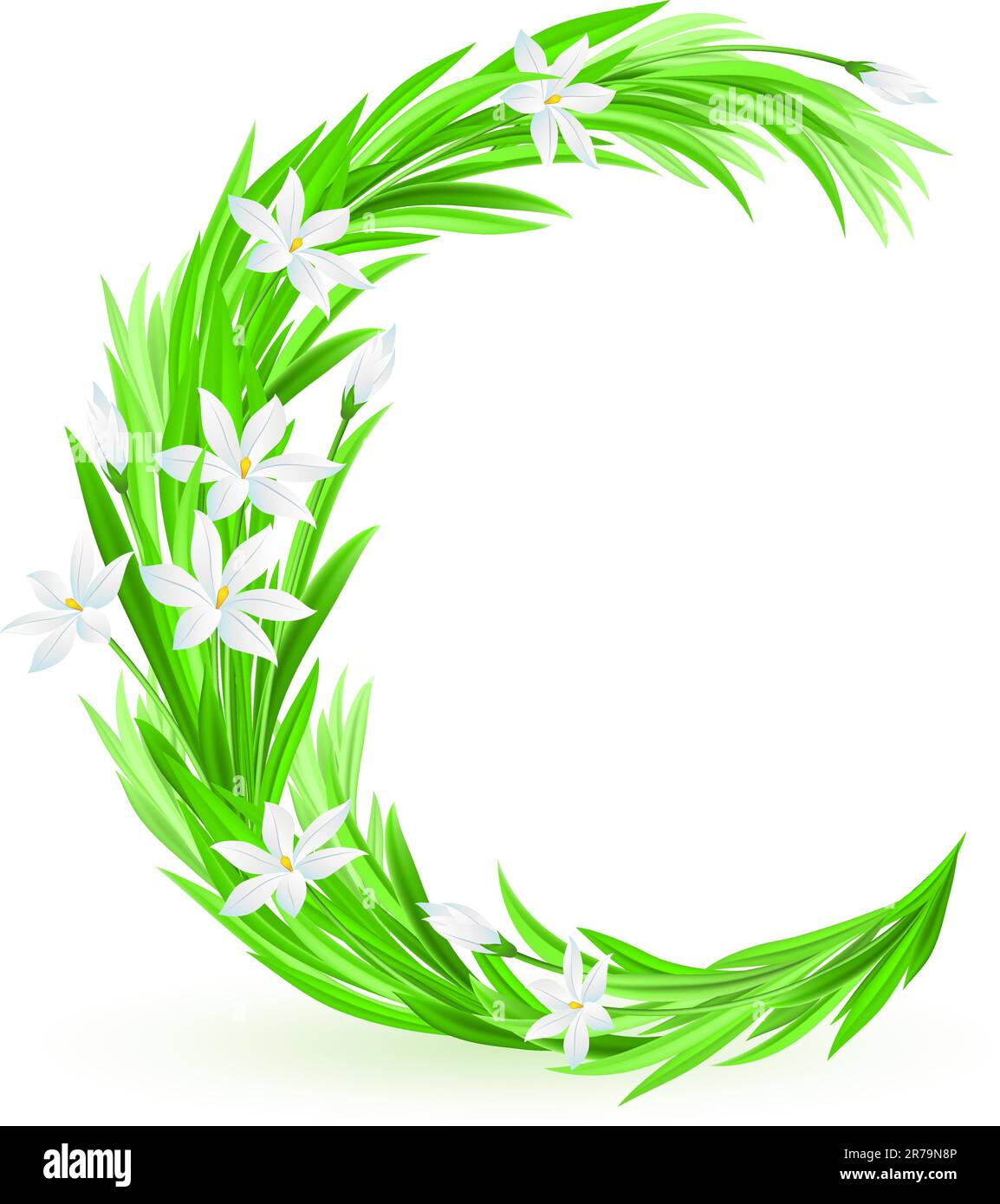 One letter of spring flowers alphabet - C. Illustration on white ...