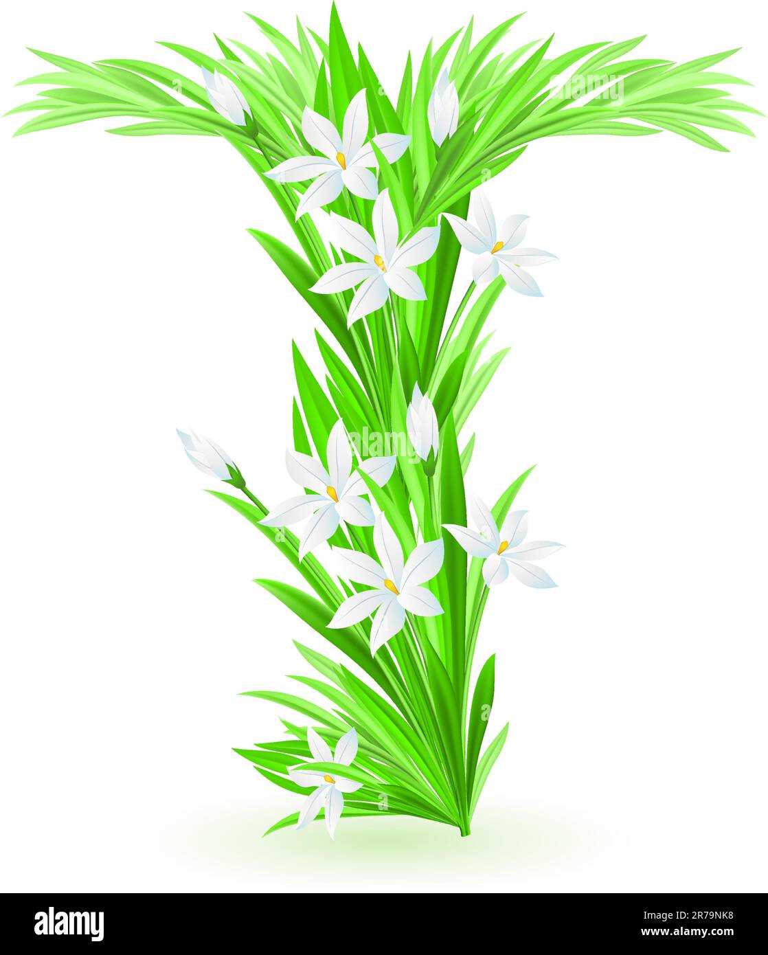 One letter of spring flowers alphabet - T. Illustration on white ...