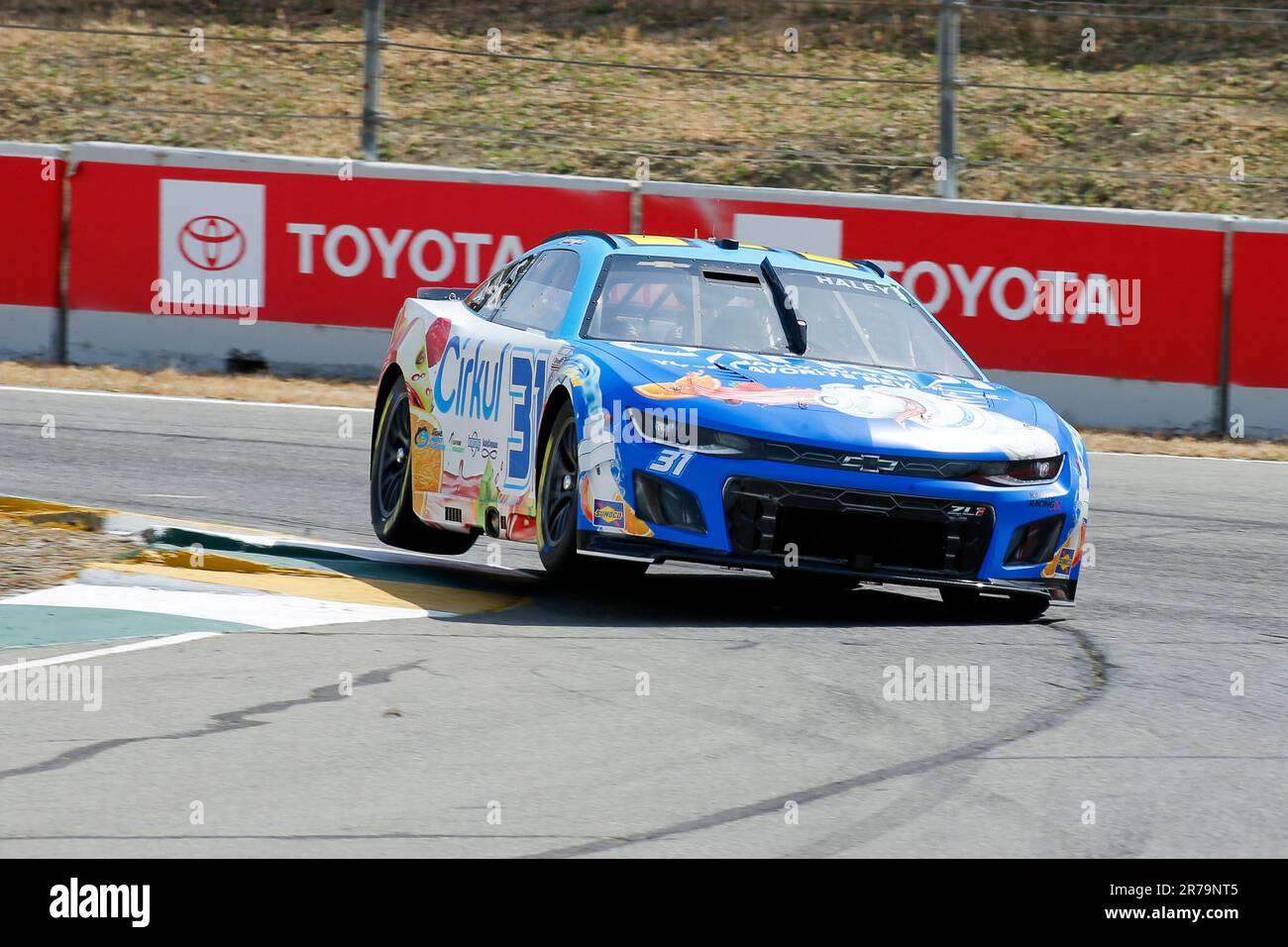 SONOMA, CA - JUNE 10: Justin Haley, in the No. 31 Cirkul Chevrolet for ...