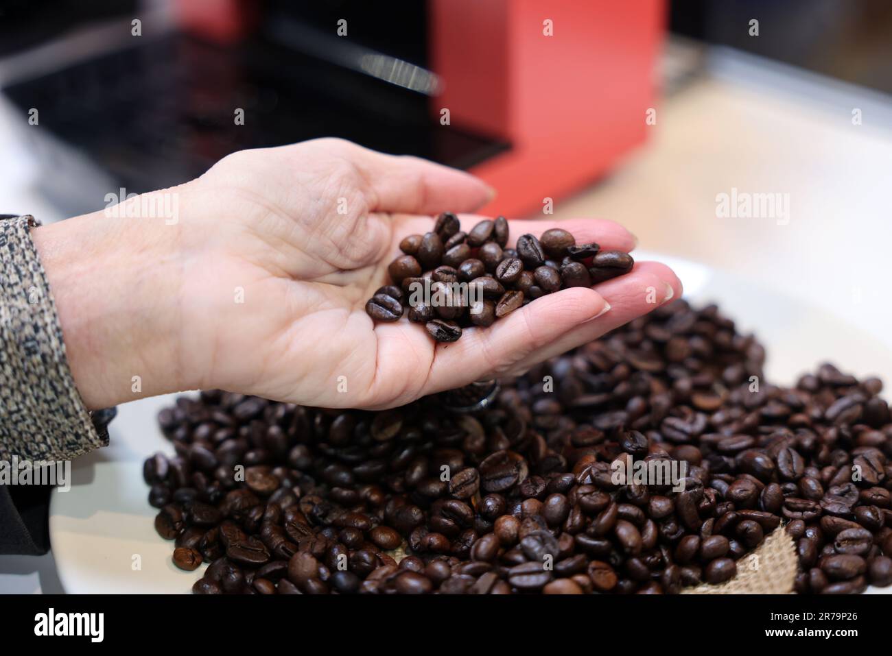 The barista checks the quality of the coffee beans before pouring them ...