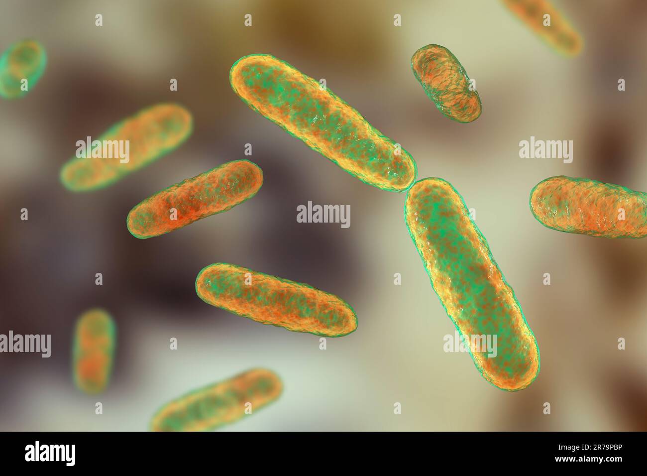 Bacteria Eikenella corrodens, 3D illustration. Eikenella is a normal ...