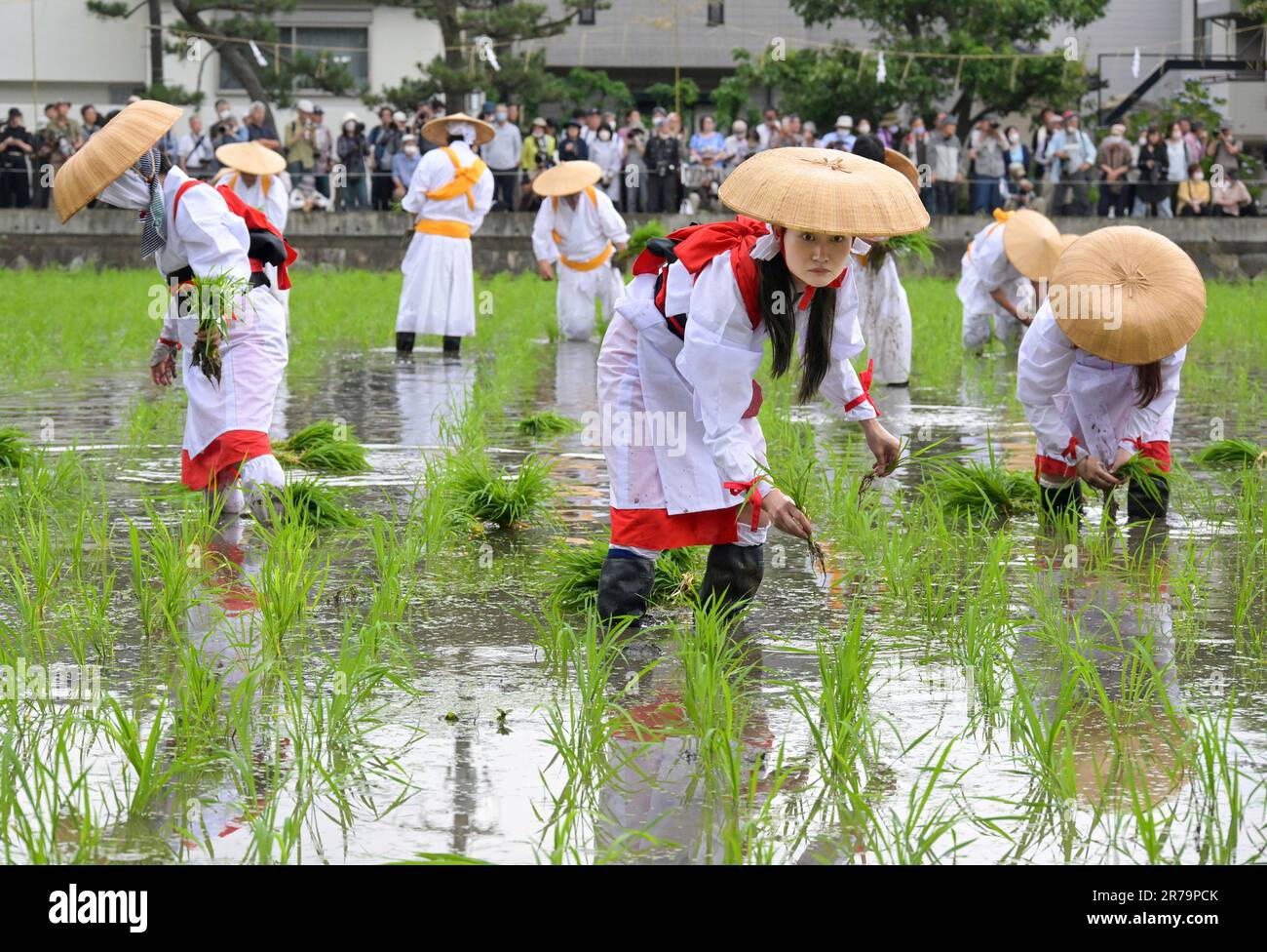Kaeueme, planting women, plant rice seedlings during Otaue-shinji ...