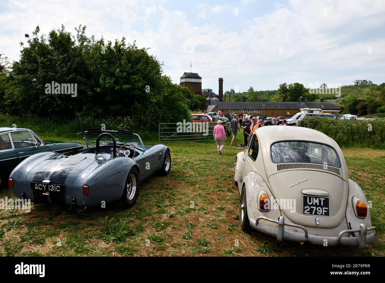 Cobra racing car roll bar hi-res stock photography and images - Alamy