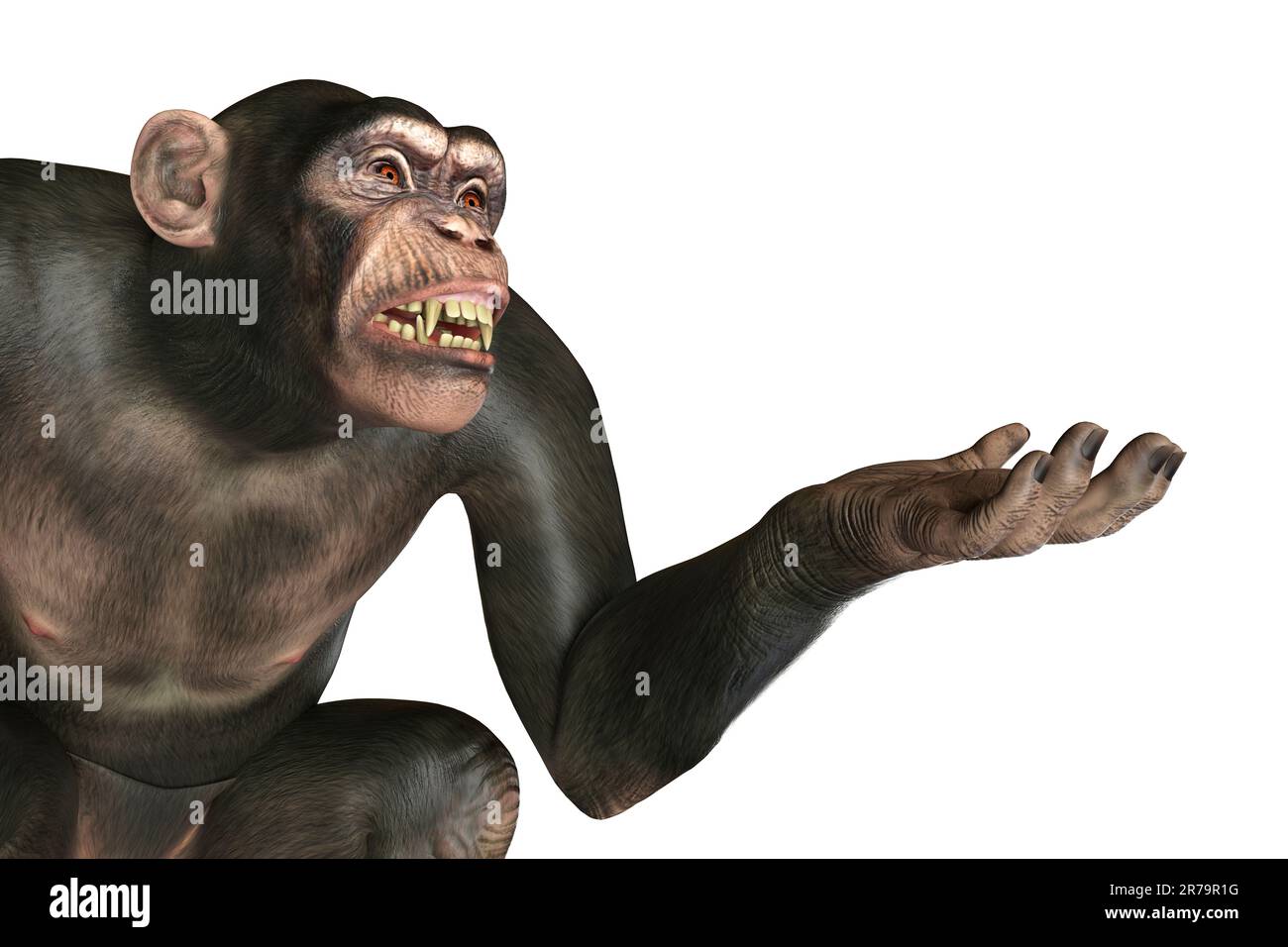 Chimpanzee monkey sitting with one arm ready to hold something, 3D ...