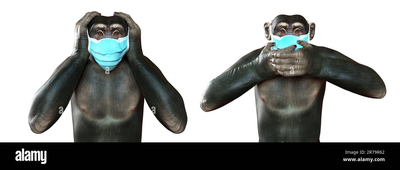 Awareness in animals Cut Out Stock Images & Pictures - Alamy