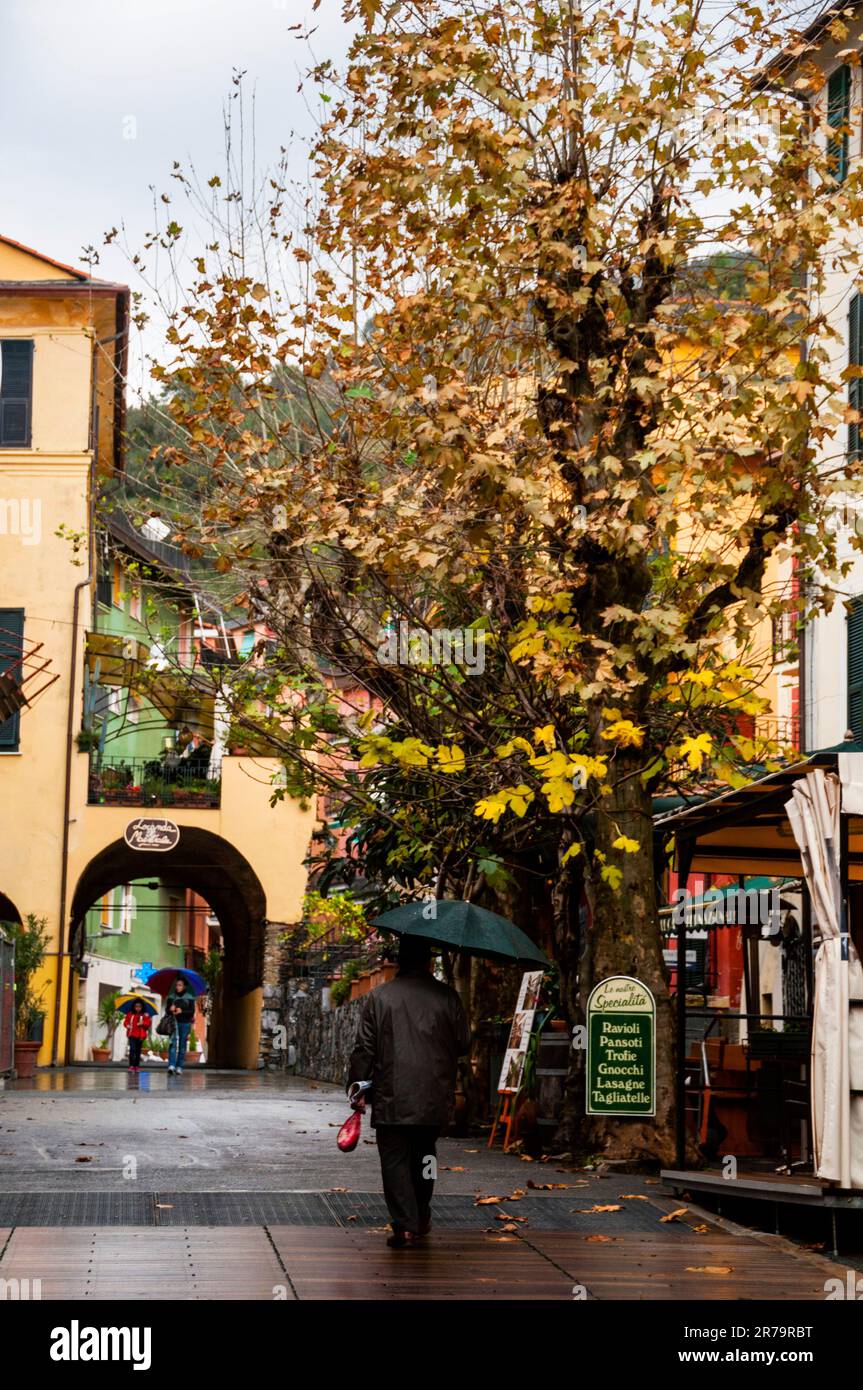 Colorful tower houses in Monterossa al Mare,Cinque Terre, Italy Stock ...