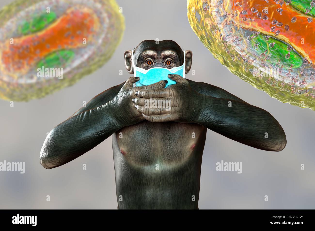 Upset monkey in a mask surrounded by monkeypox viruses, conceptual 3D ...