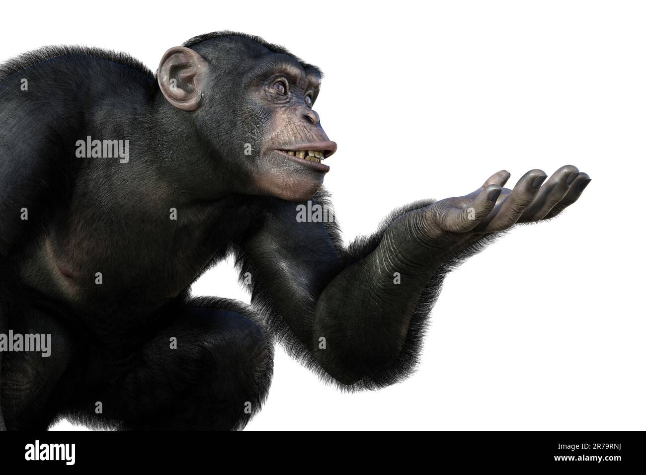 Realistic hand holding something hi-res stock photography and images ...