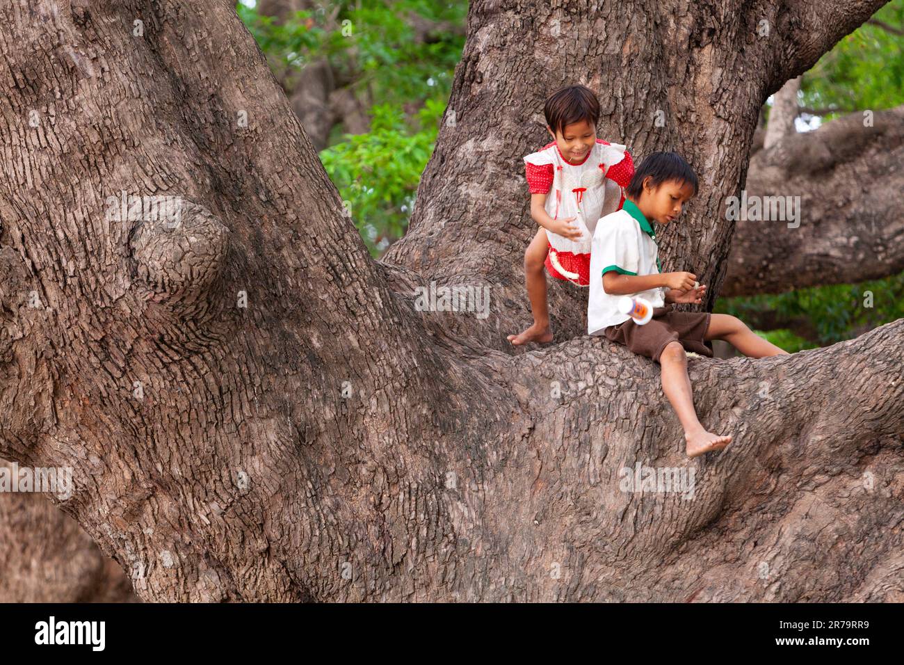 Two children playing on the big tree branch, Amarapura (near Mandalay ...