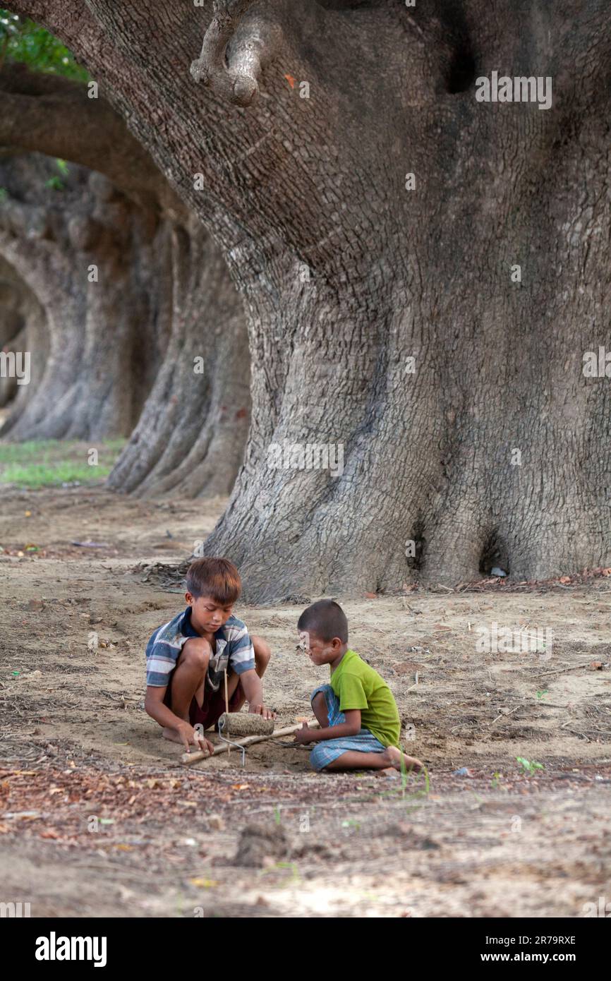 Children playing under green tree hi-res stock photography and images ...