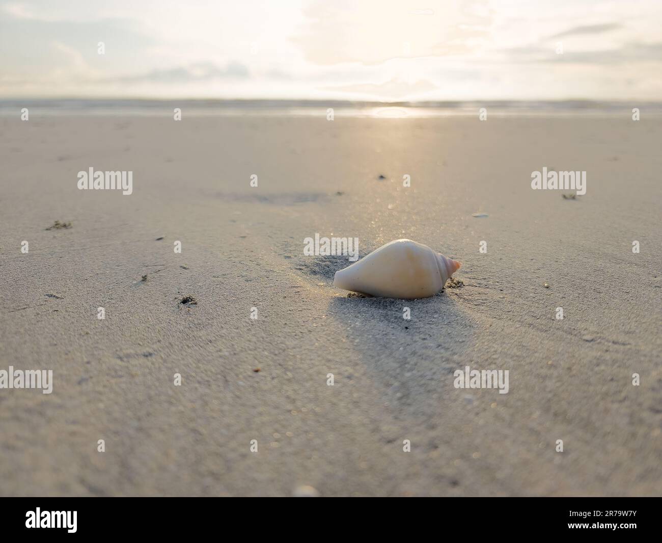 Lompat hi-res stock photography and images - Alamy