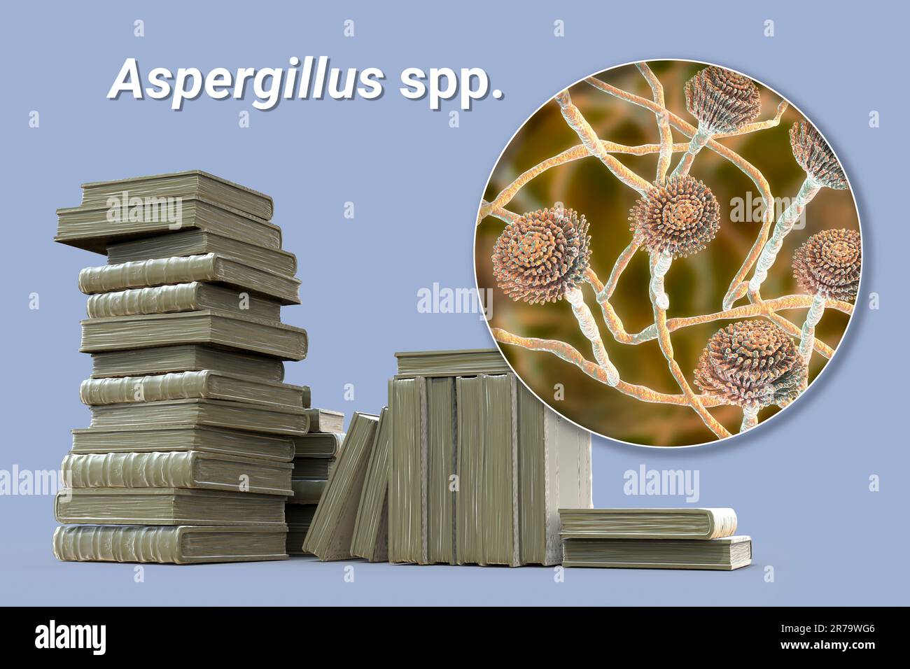 Microscopic view of paper hi-res stock photography and images - Alamy