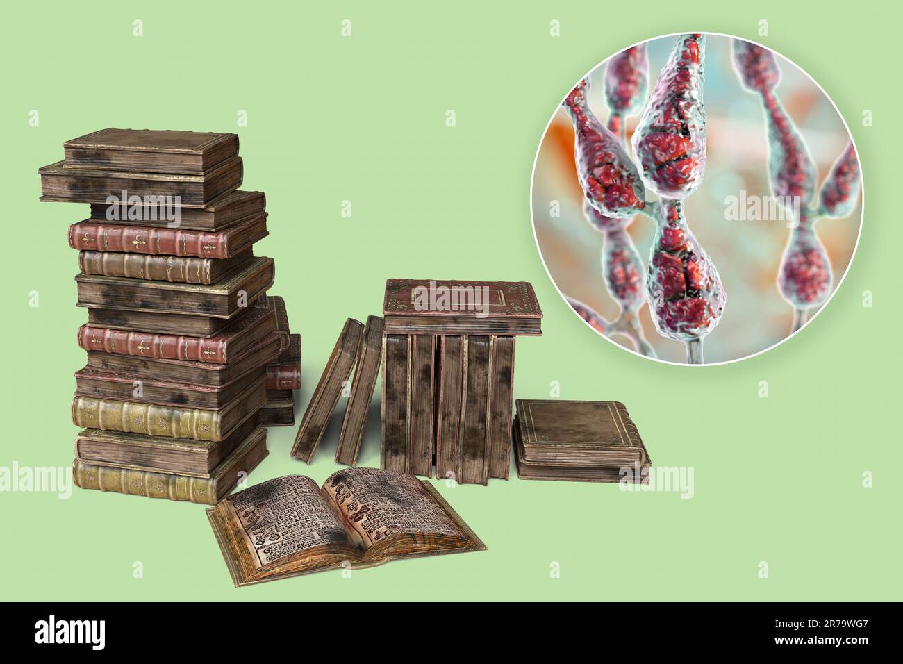 Mold in old books, conceptual 3D illustration. Antique books and close ...