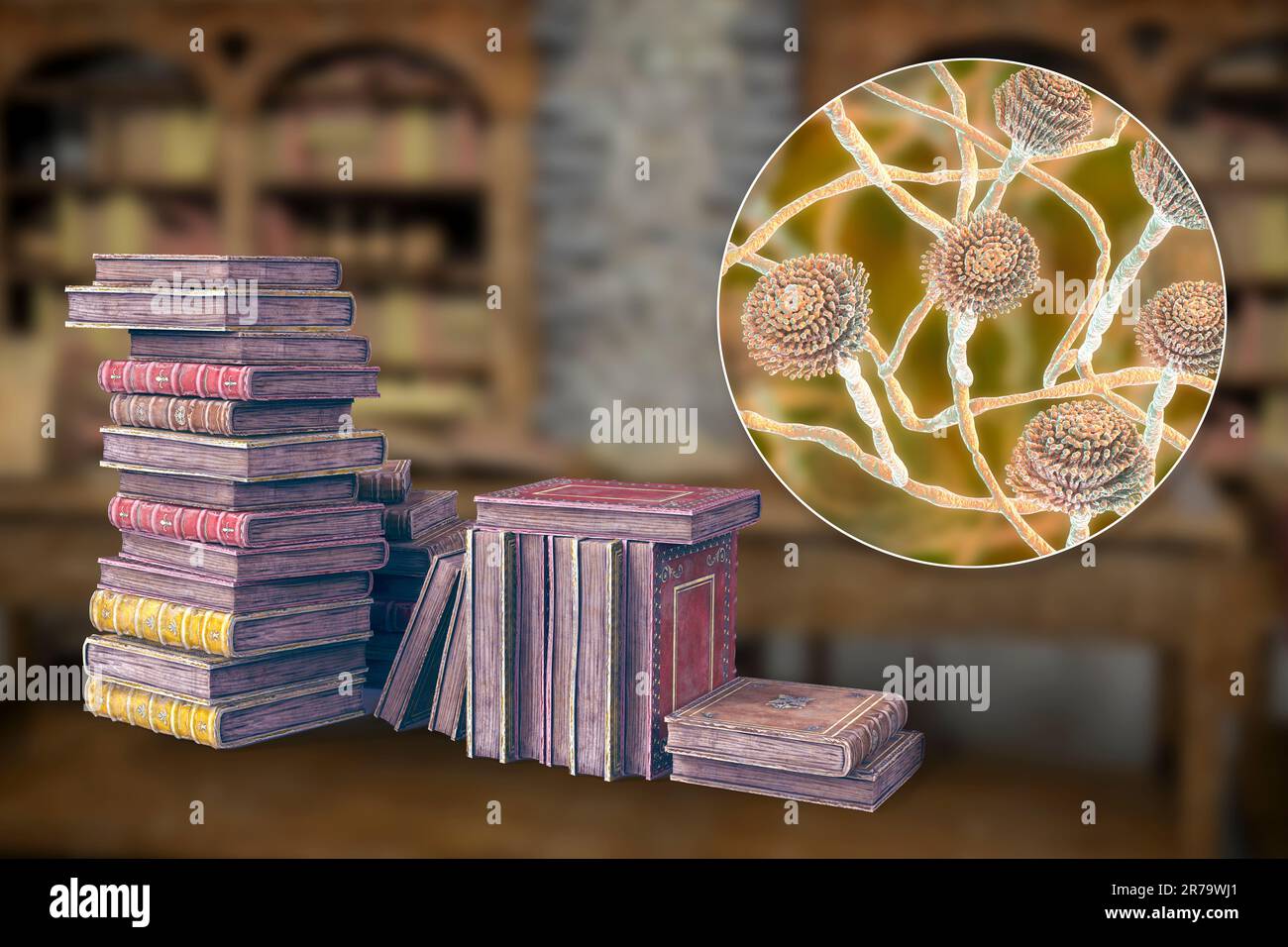 Microscopic view of paper hi-res stock photography and images - Alamy