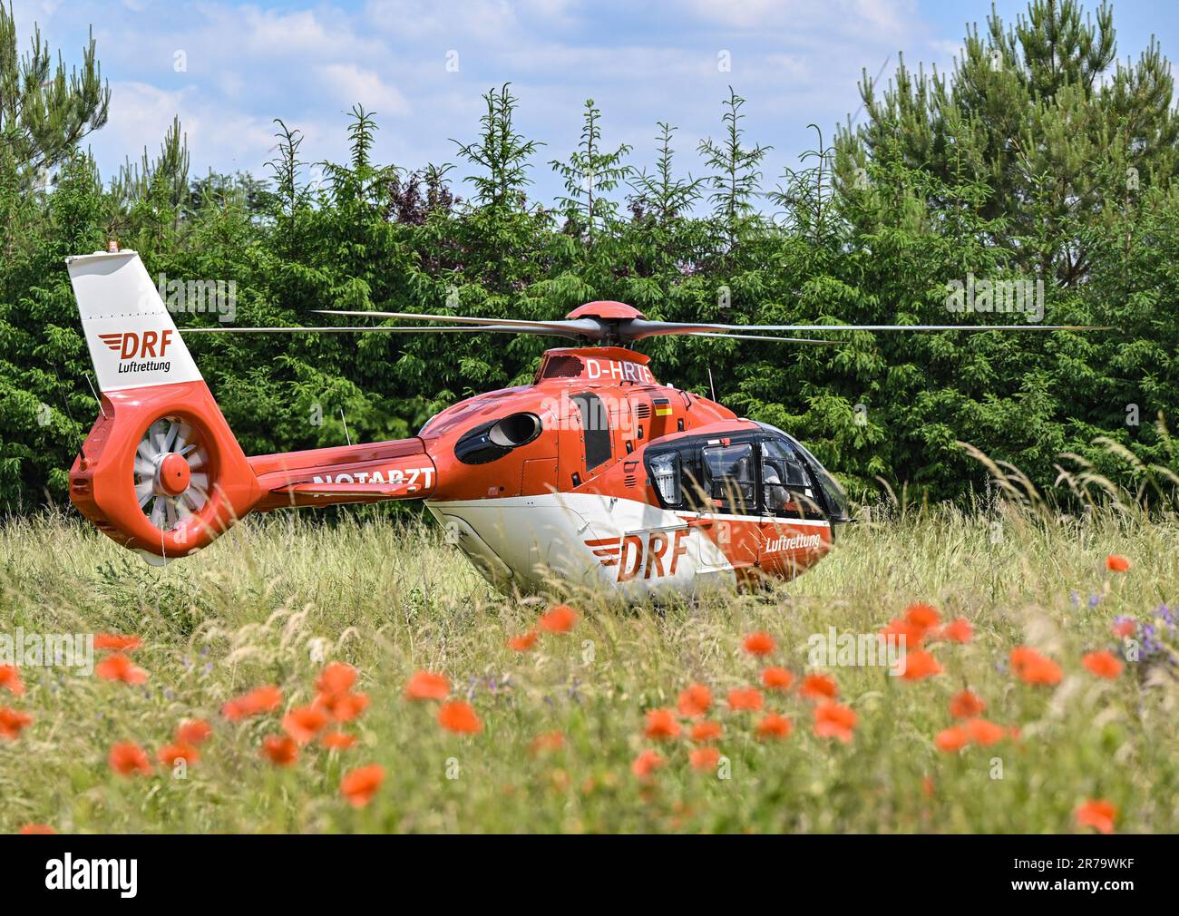 Jacobsdorf Germany 12th June 2023 A Drf Luftrettung Helicopter Stands In A Meadow For