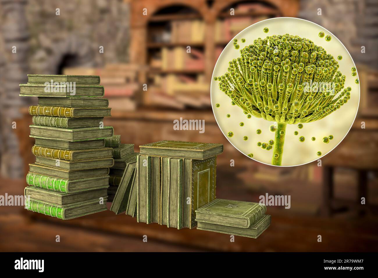 Microscopic view of paper hi-res stock photography and images - Alamy