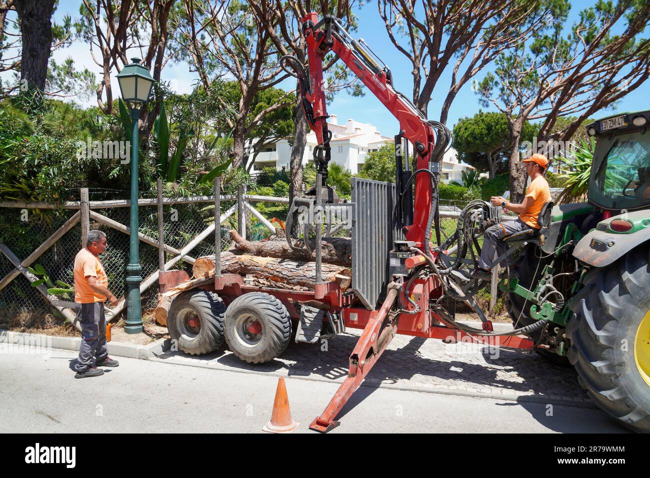 Timber cutter hi-res stock photography and images - Alamy