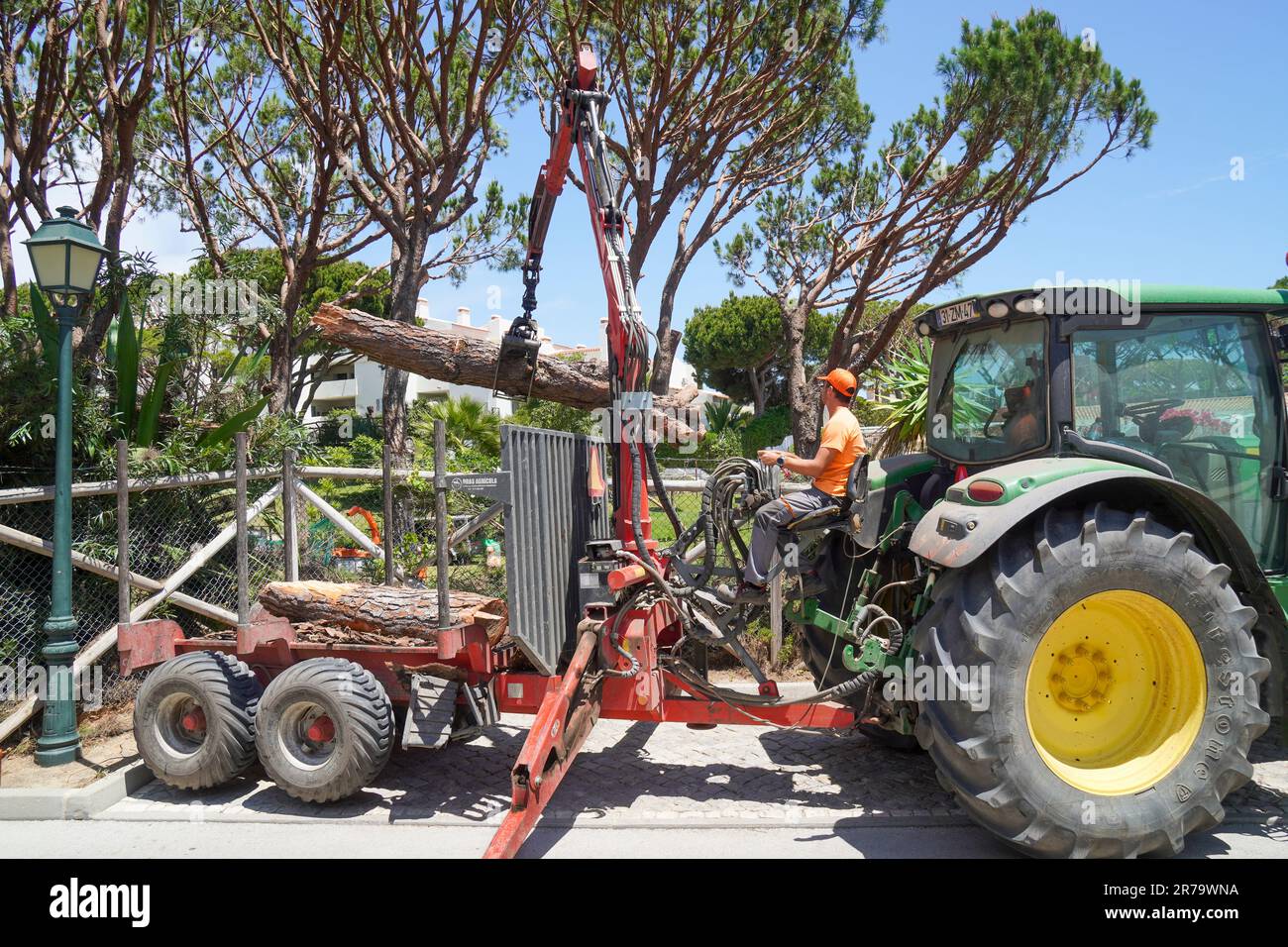 Timber cutter hi-res stock photography and images - Alamy