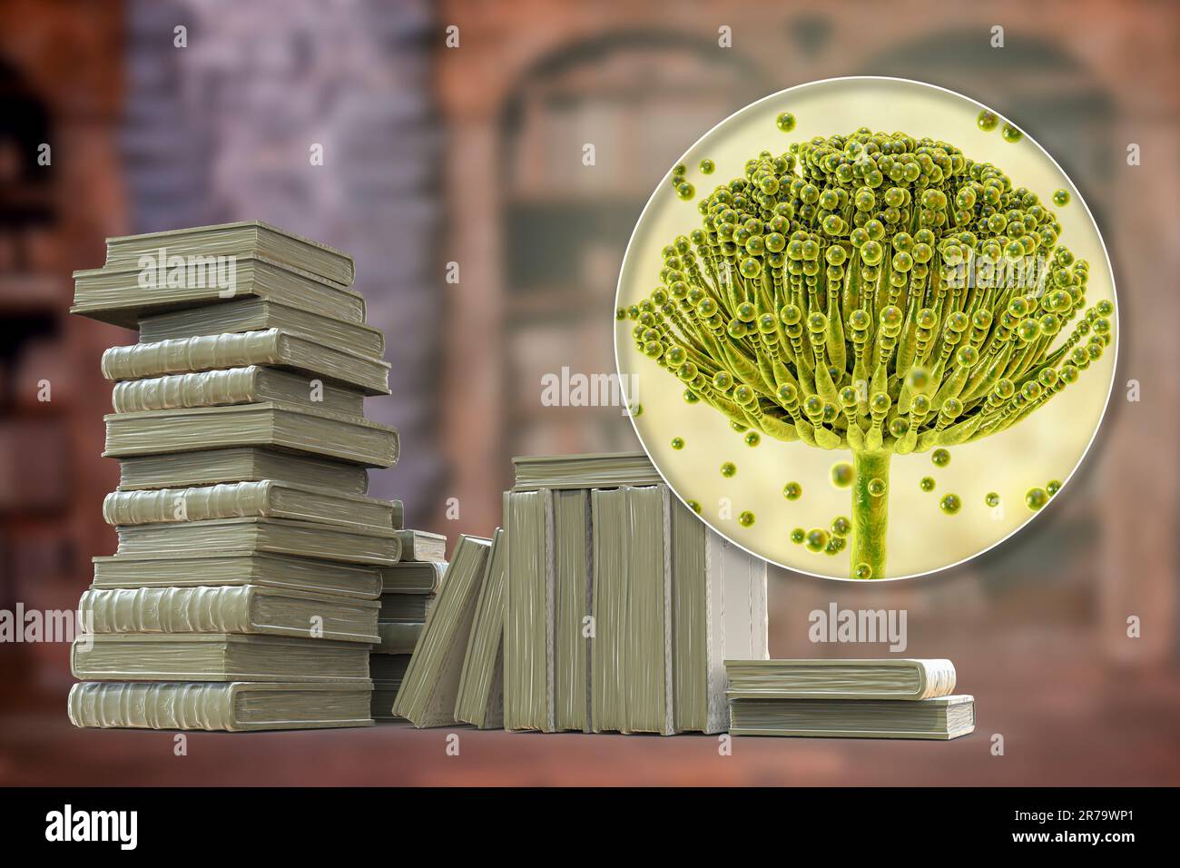Microscopic view of paper hi-res stock photography and images - Alamy