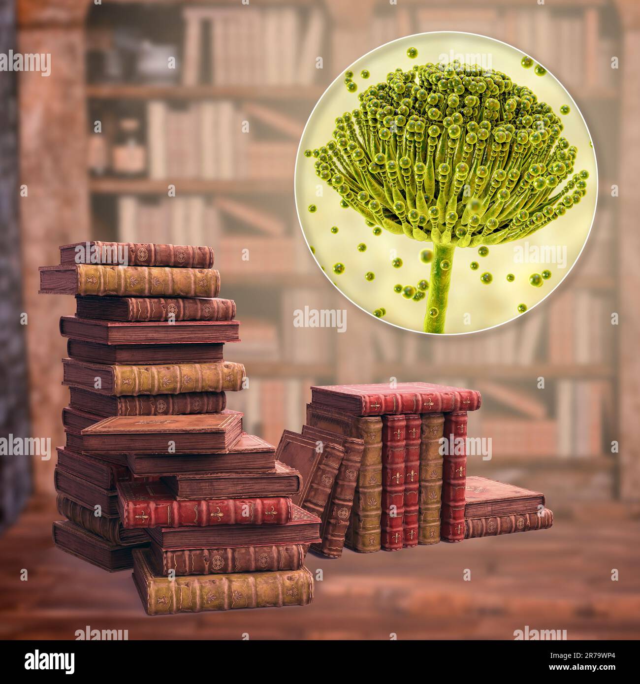 Microscopic view of paper hi-res stock photography and images - Alamy
