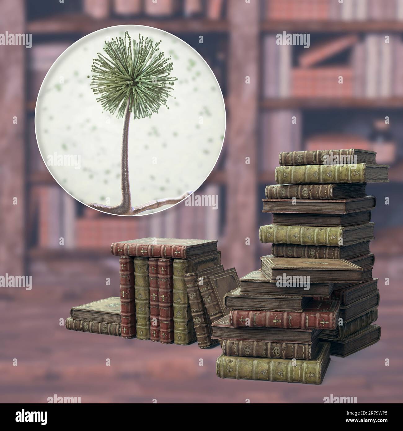 Microscopic view of paper hi-res stock photography and images - Alamy