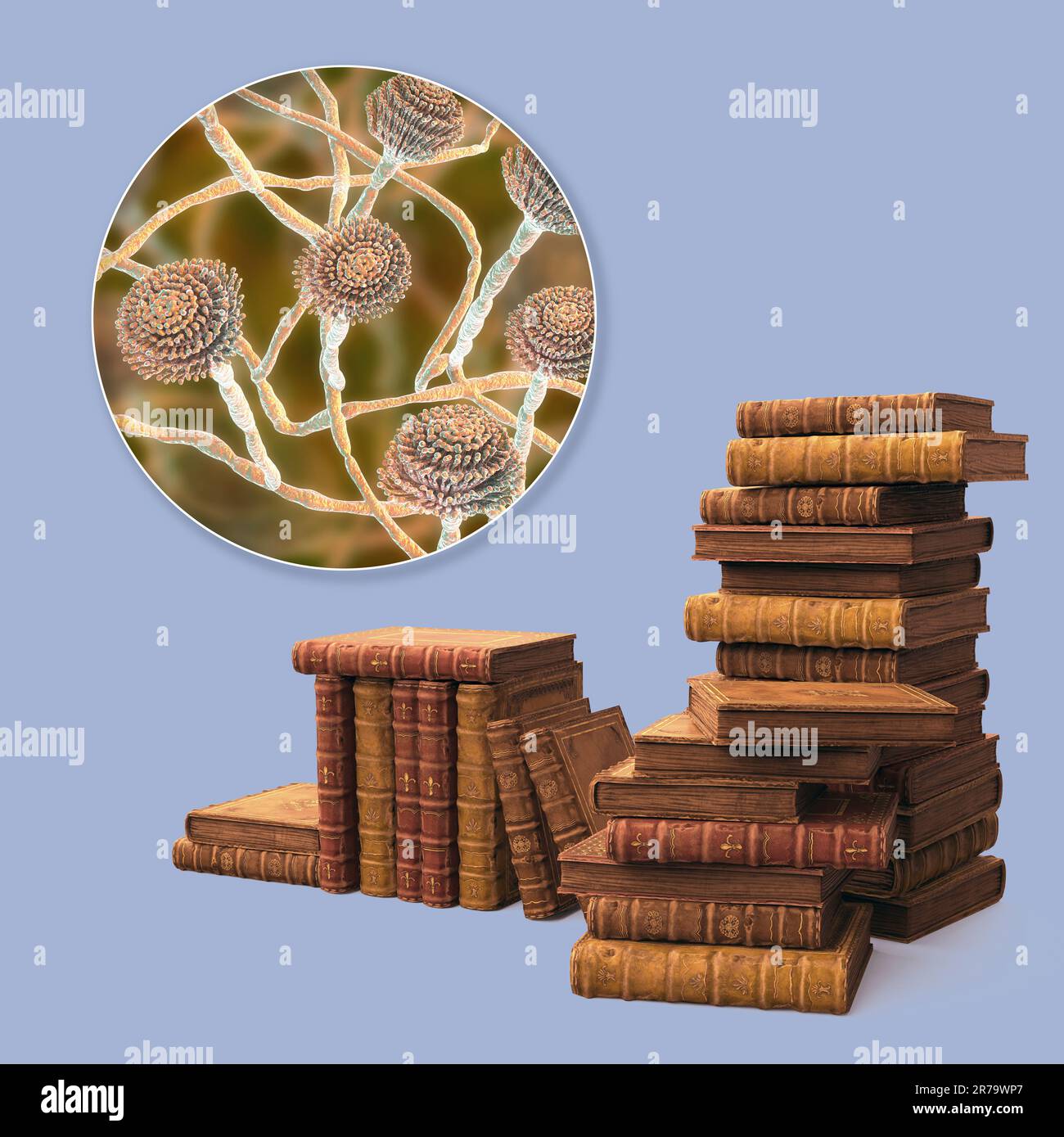 Microscopic view of paper hi-res stock photography and images - Alamy
