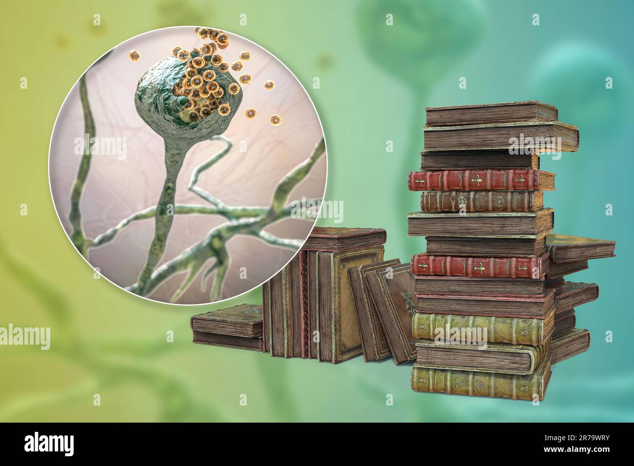 Microscopic view of paper hi-res stock photography and images - Alamy