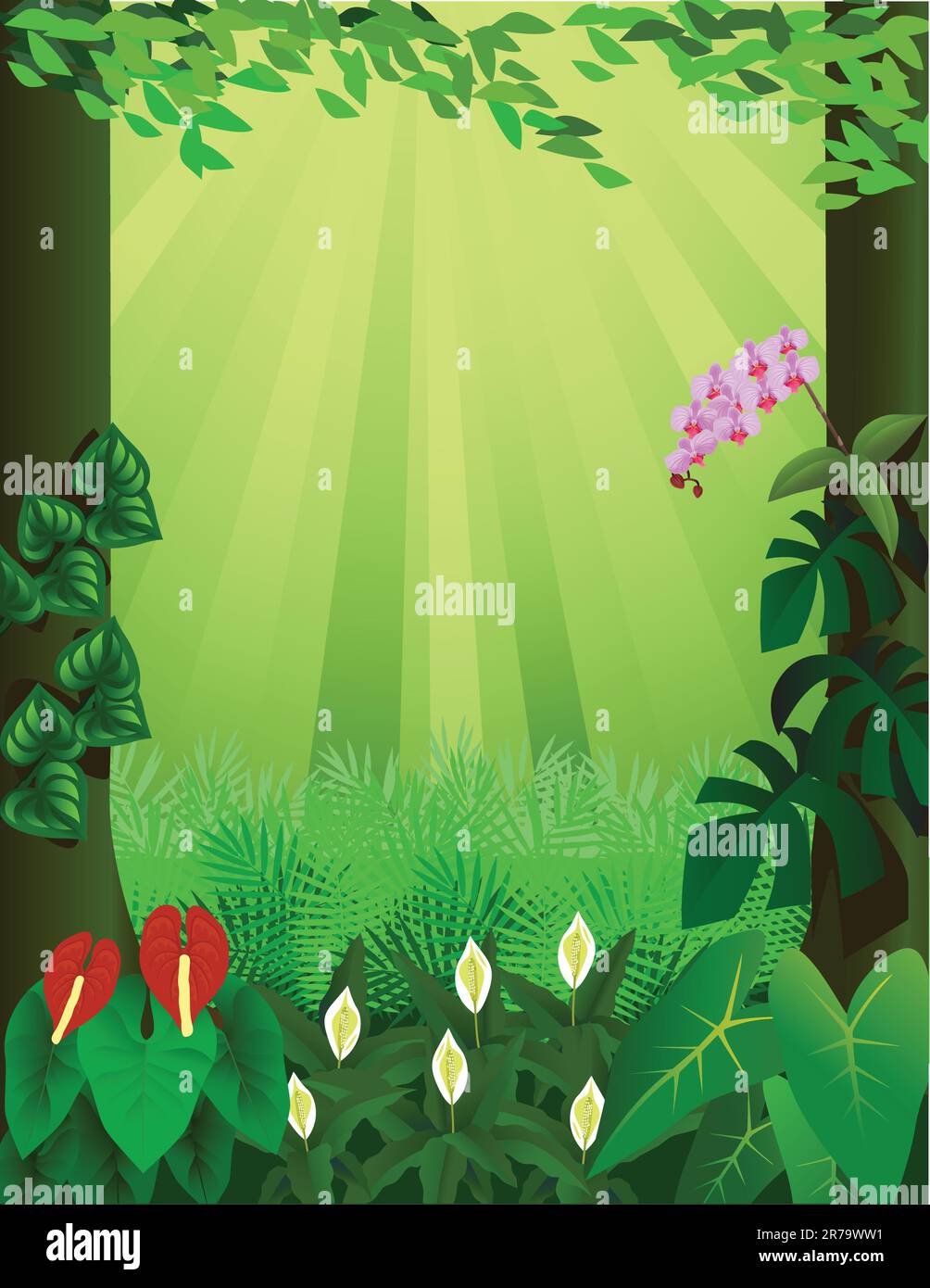 vector illustration of forest background Stock Vector Image & Art - Alamy