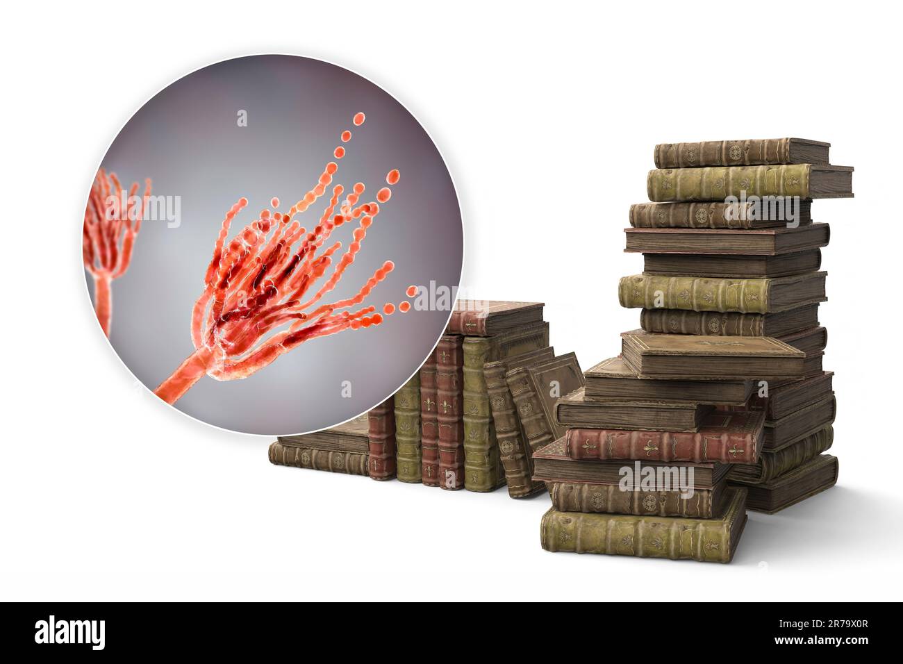 Microscopic view of paper hi-res stock photography and images - Alamy
