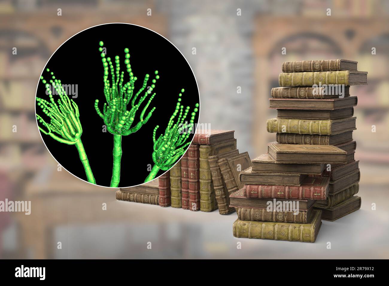 Microscopic view of paper hi-res stock photography and images - Alamy