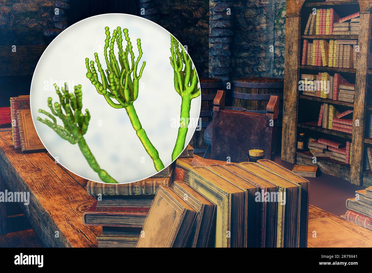 Microscopic view of paper hi-res stock photography and images - Alamy