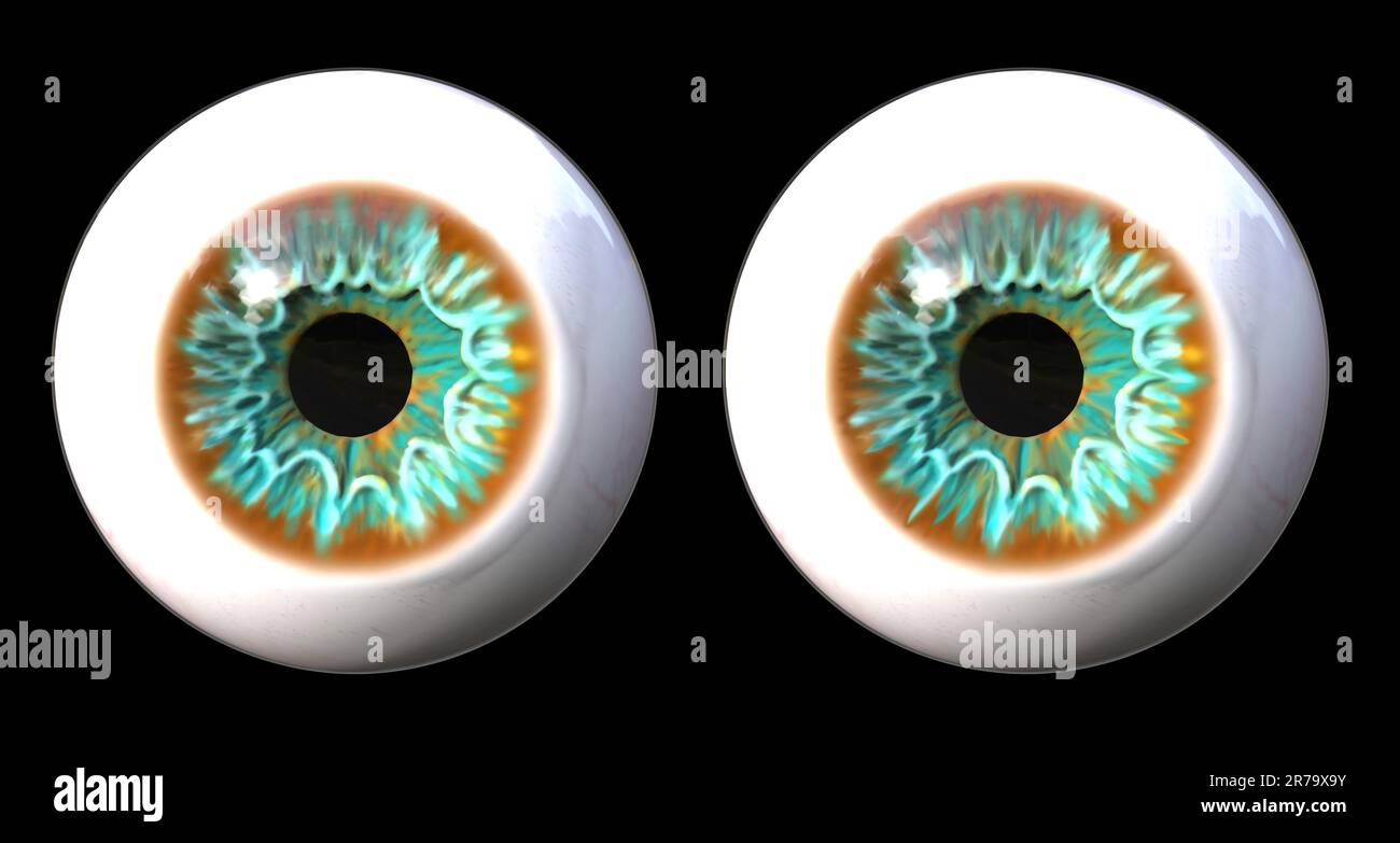 Realistic human eyes isolated on black background, 3D illustration ...