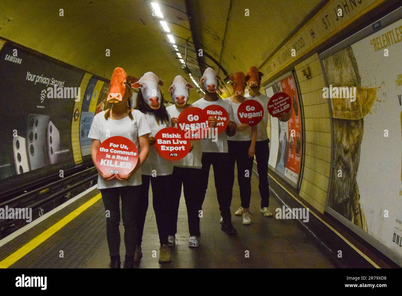 London, England, UK. 14th June, 2023. PETA activists wearing sheep and ...
