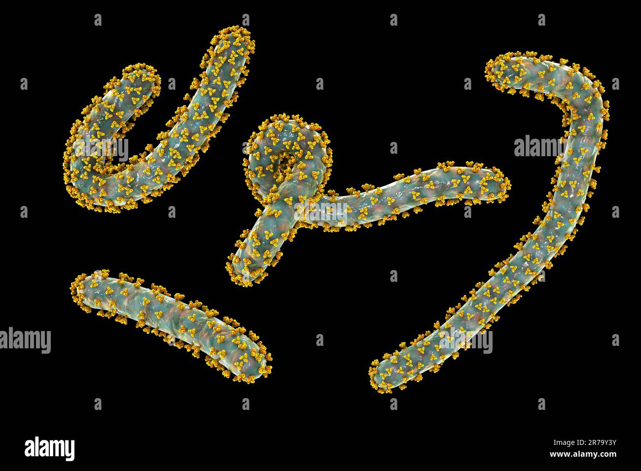 A skin rash on the chest of a patient with Marburg hemorrhagic fever, photorealistic 3D ...