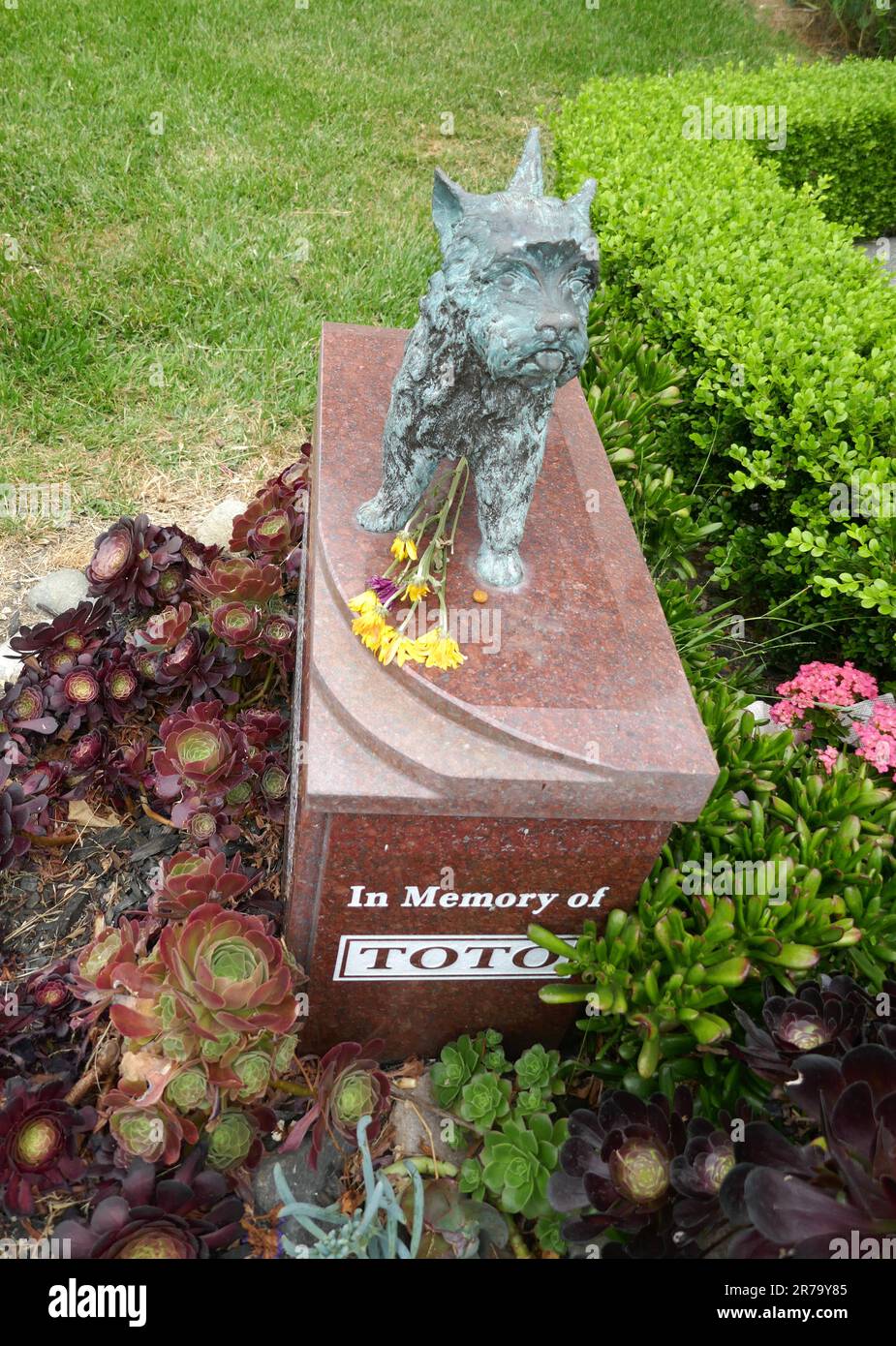 Los Angeles, California, USA 10th June 2023 Toto Memorial Statue at ...
