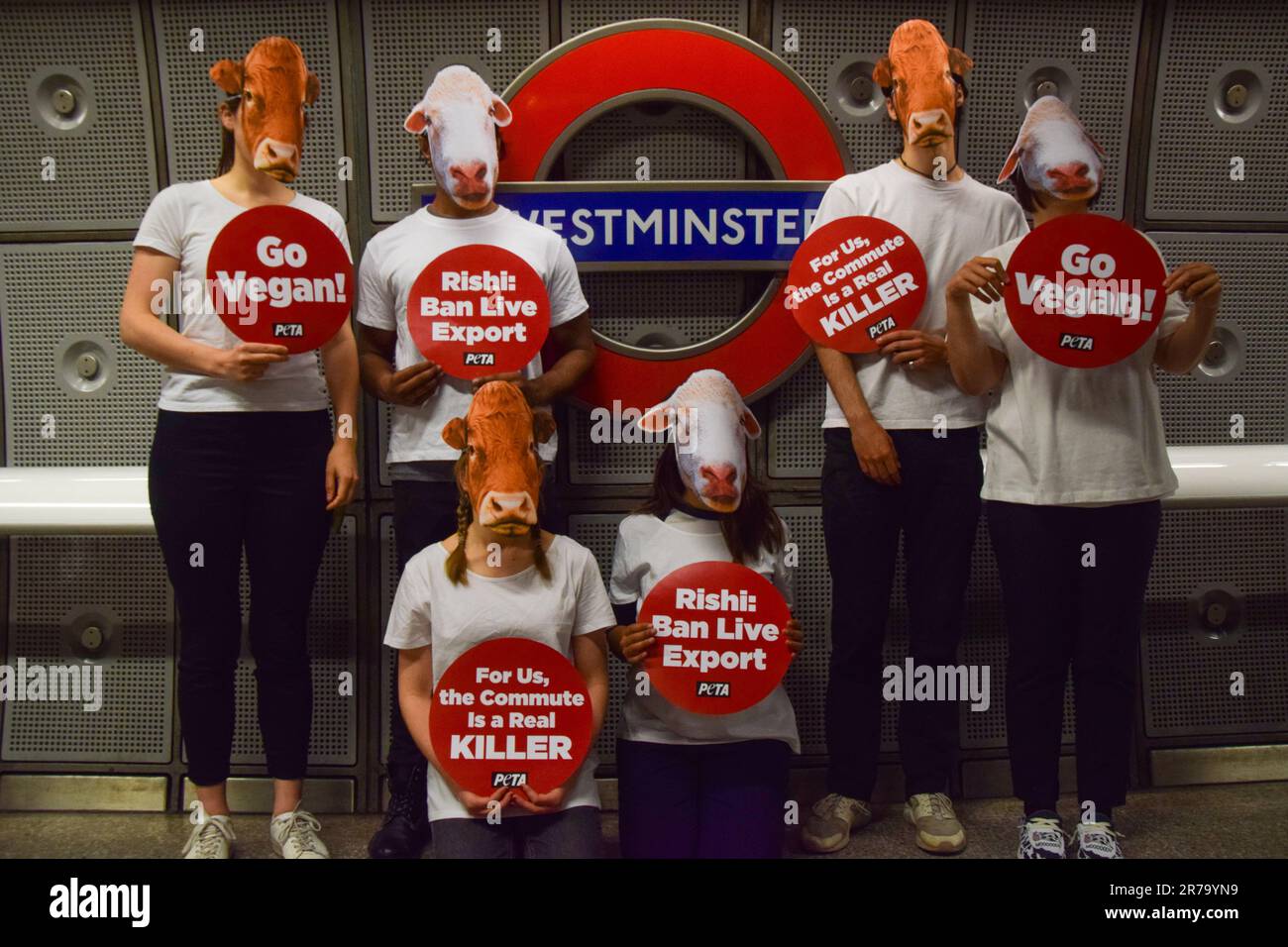 London, England, UK. 14th June, 2023. PETA activists wearing sheep and ...