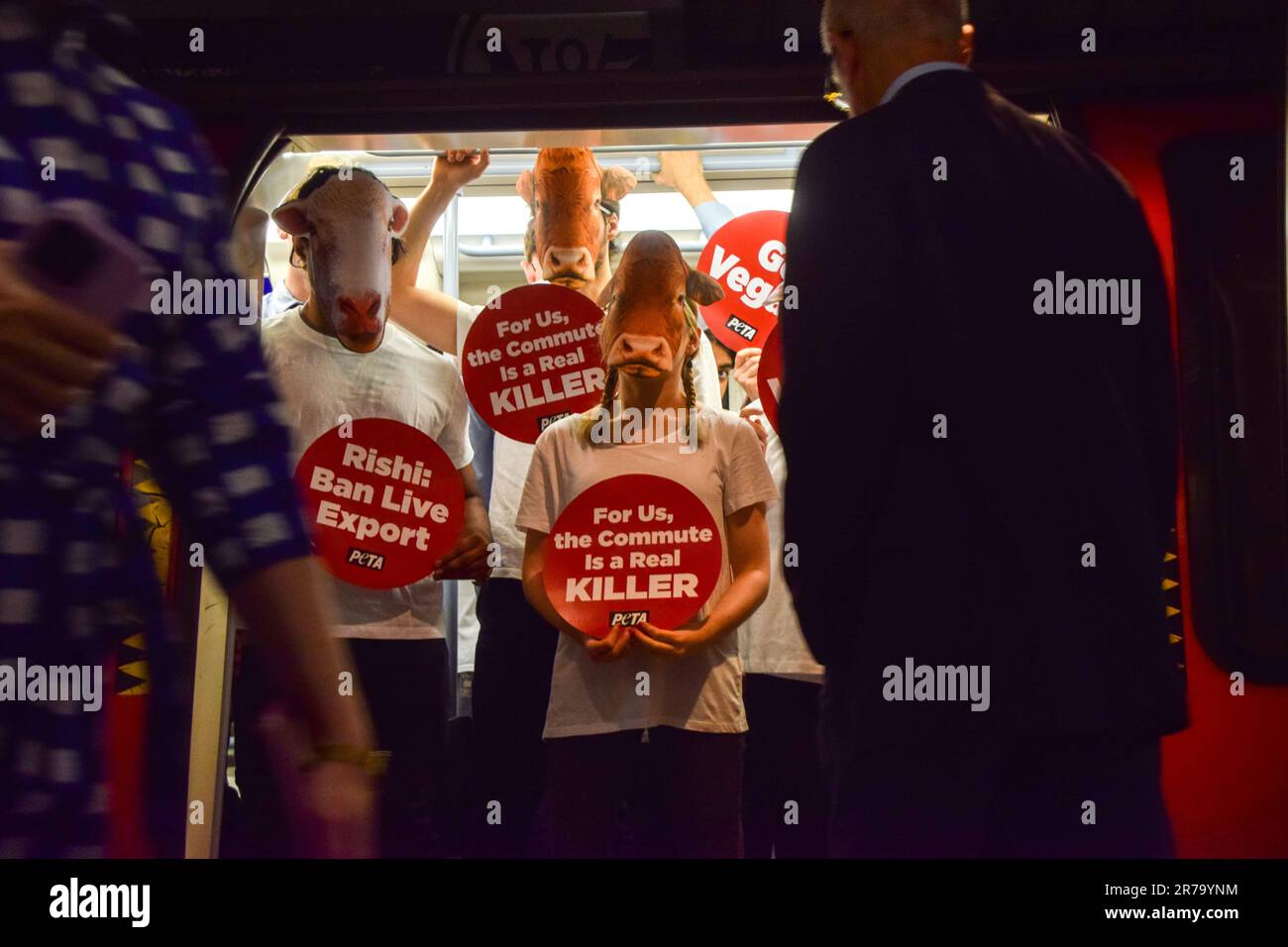 London, England, UK. 14th June, 2023. PETA activists wearing sheep and ...