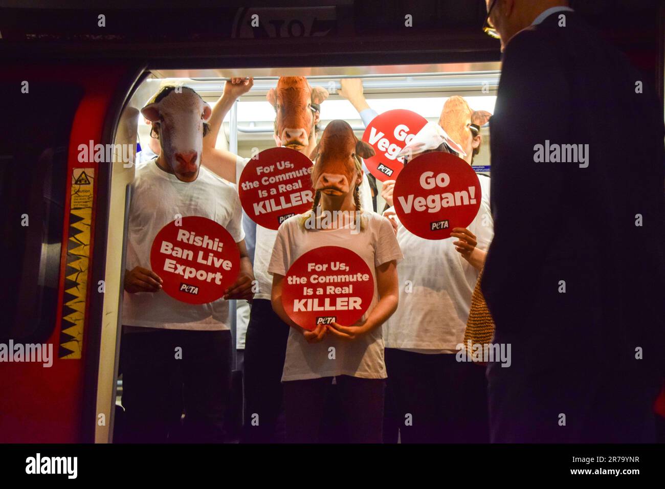 London, England, UK. 14th June, 2023. PETA activists wearing sheep and ...