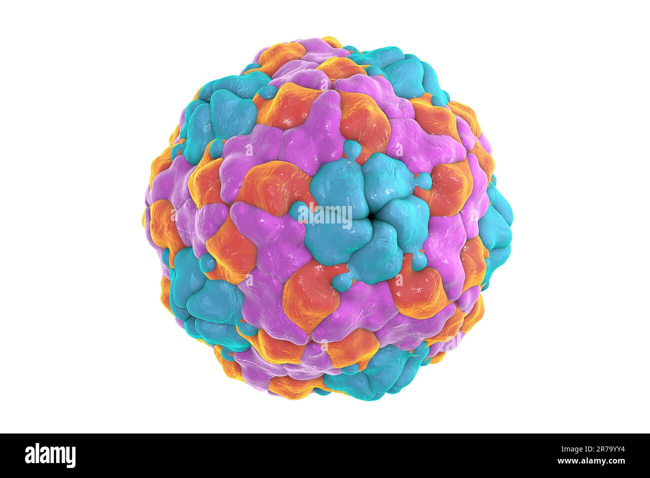 Human Parechovirus on white background, 3D illustration. Parechoviruses ...
