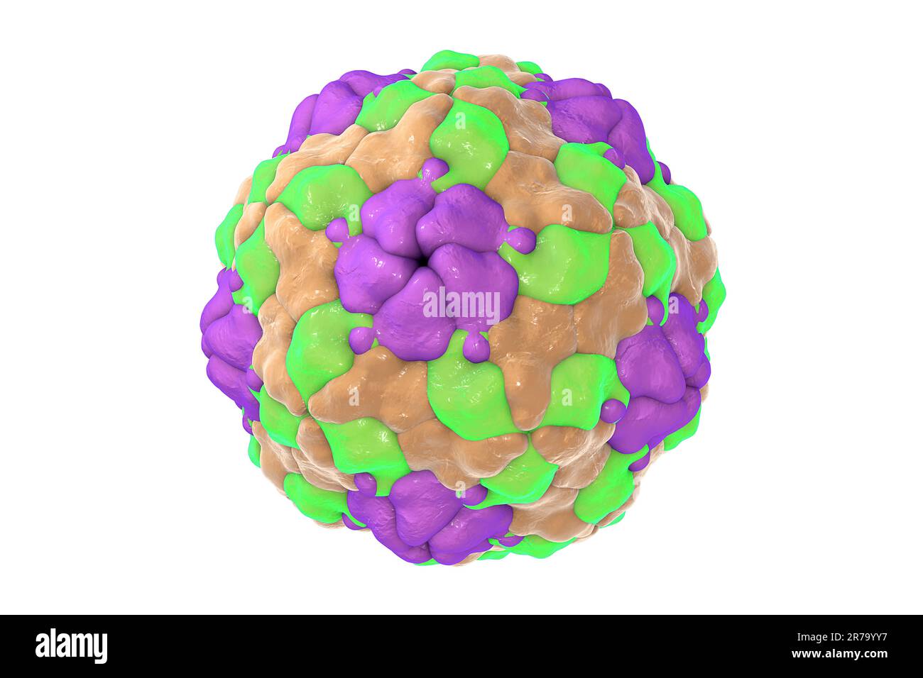Human Parechovirus on white background, 3D illustration. Parechoviruses ...
