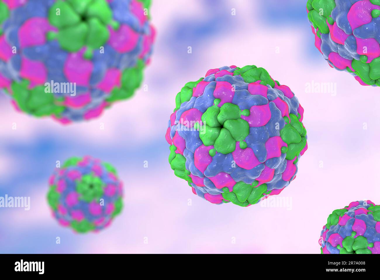 Human Parechovirus on colorful background, 3D illustration ...