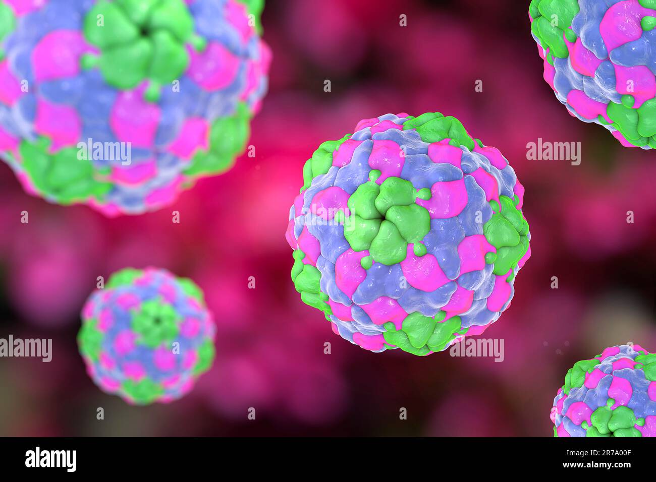 Human Parechovirus on colorful background, 3D illustration ...