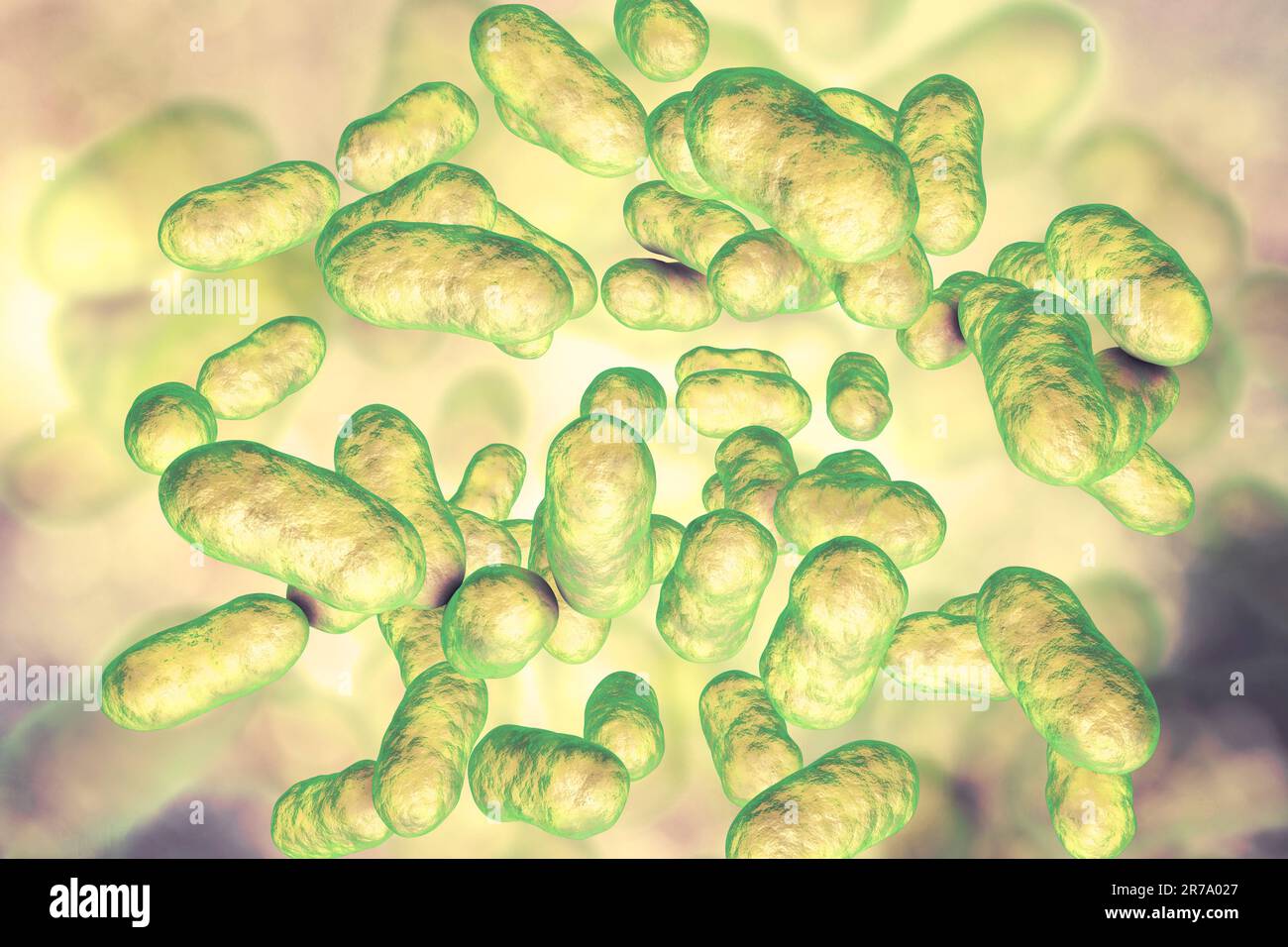 Prevotella bacteria, 3D illustration. Gram-negative anaerobic bacteria ...