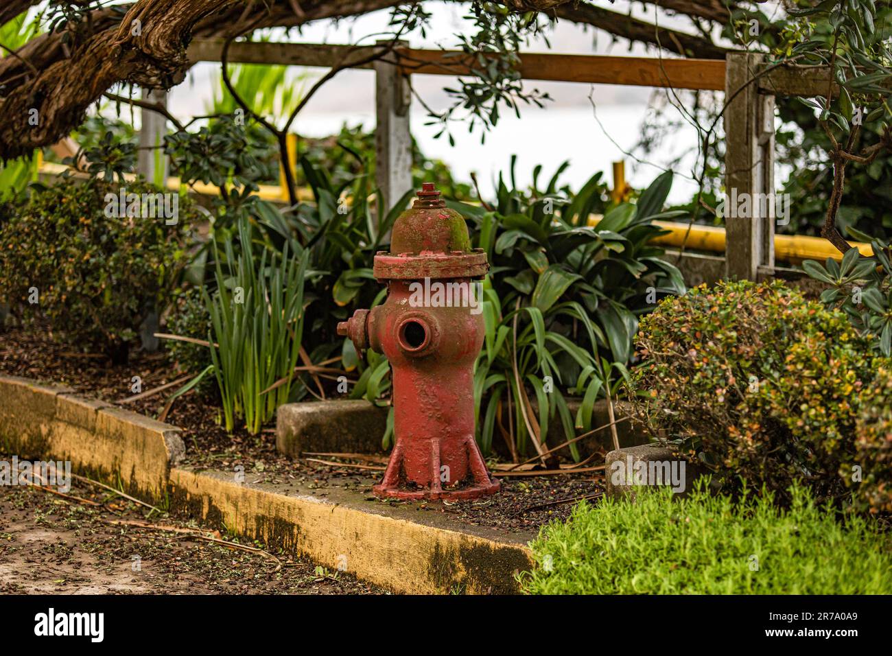 Fire hydrant of the federal prison of Alcatraz Island of the United ...