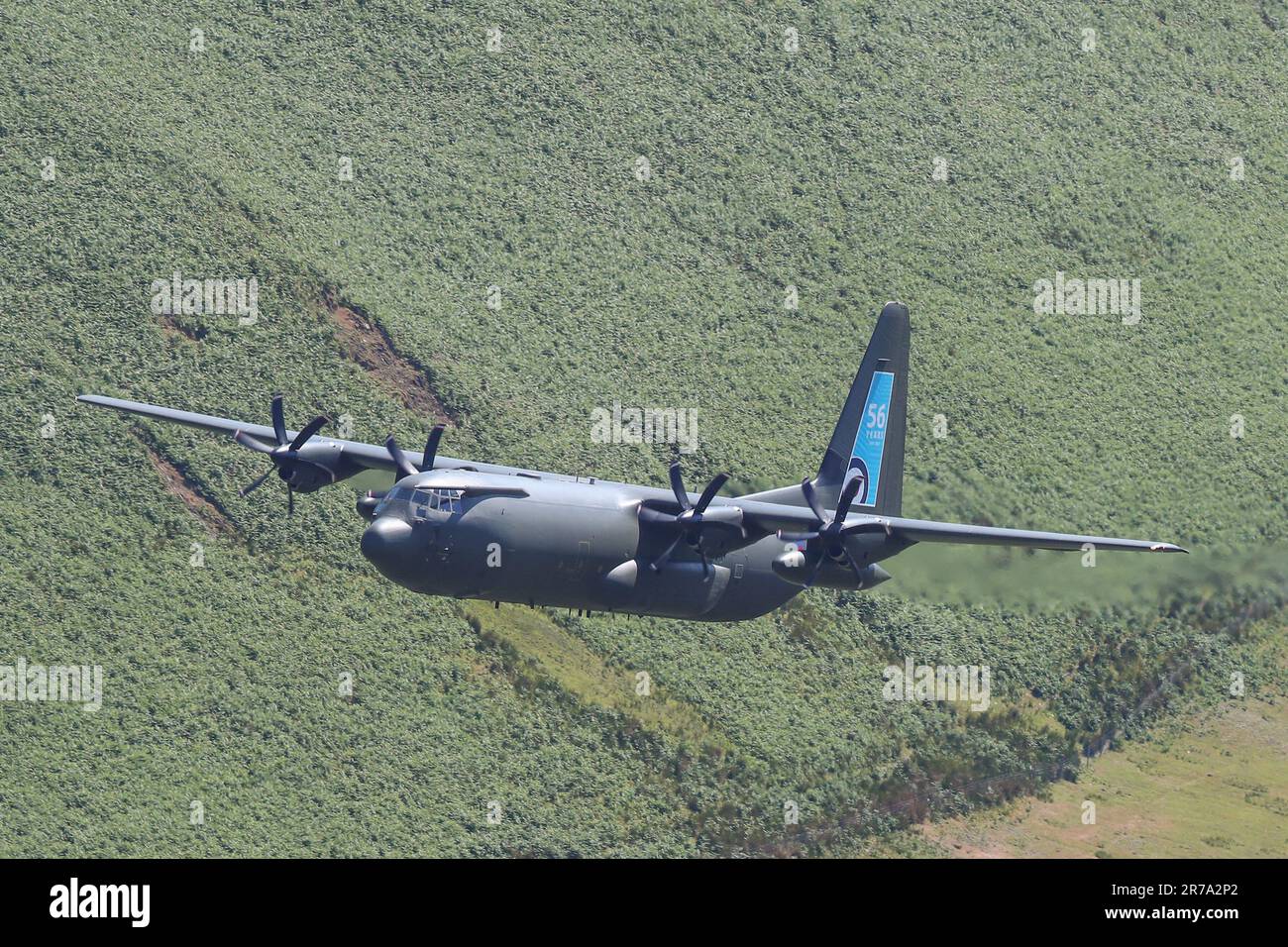 A Three ship of RAF C-130 Hercules flypast as the Royal Air Force mark ...