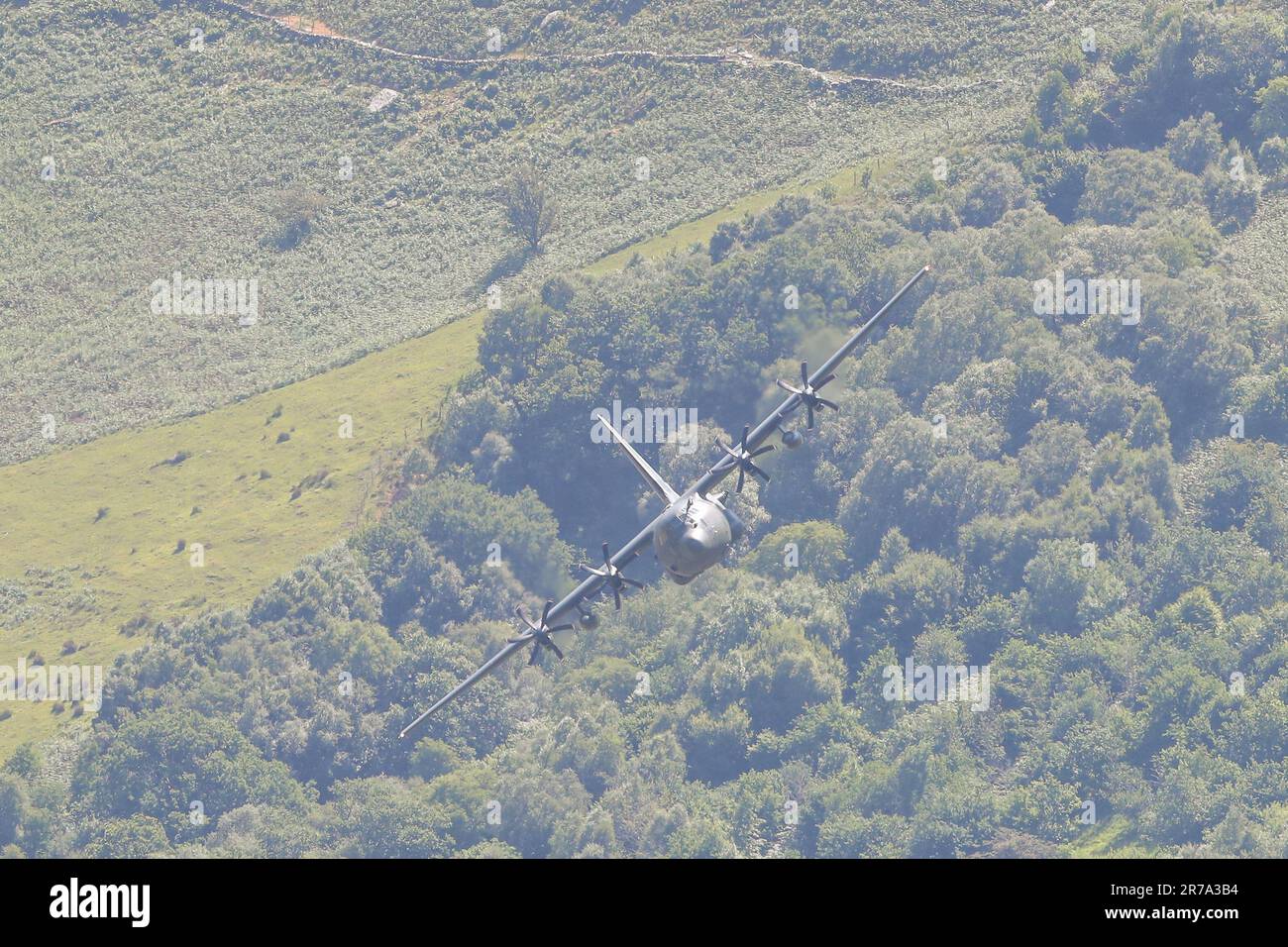 Raf hercules images hi-res stock photography and images - Alamy