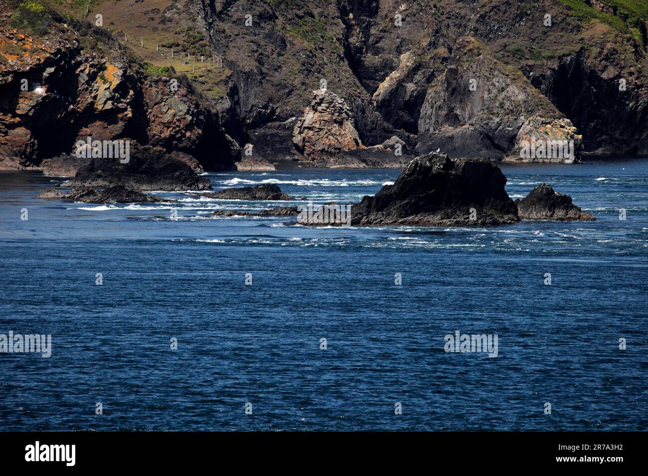 The Bitches, a series of rocks by Ramsey Island in Ramsey Sound from ...