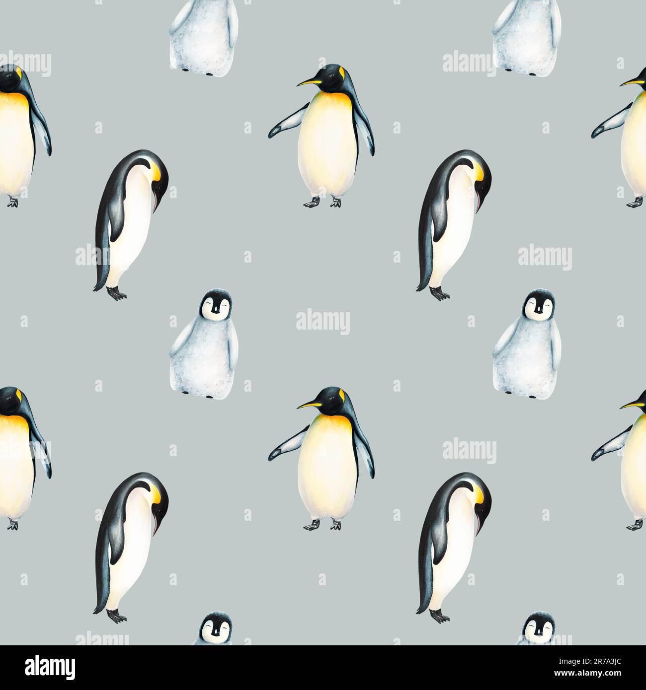 Watercolor seamless pattern with king penguin family isolated. Hand ...
